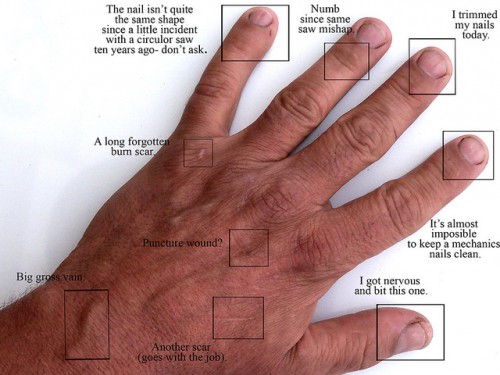 anatomy of left hand - ModernHeal.com