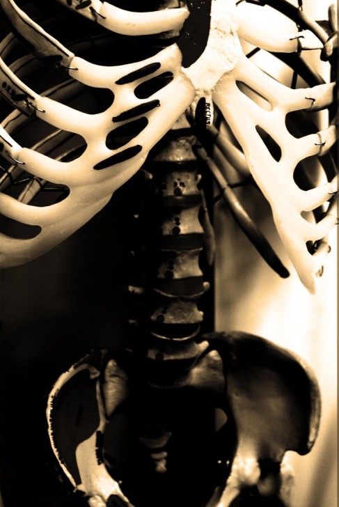 xiphoid process baby - ModernHeal.com